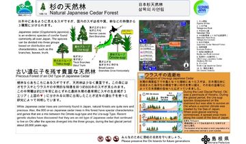 Subalpine Plants, Kamo Bay | List of Geopark Sites and Treasures | Oki ...