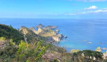 白島展望台の植生 | 隠岐の宝物たち・ジオパークサイト一覧 | Oki Islands UNESCO Global Geopark