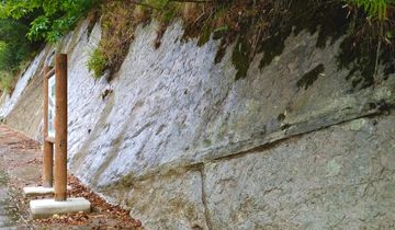 Ichnofossils, Tsuma | List of Geopark Sites and Treasures | Oki Islands ...