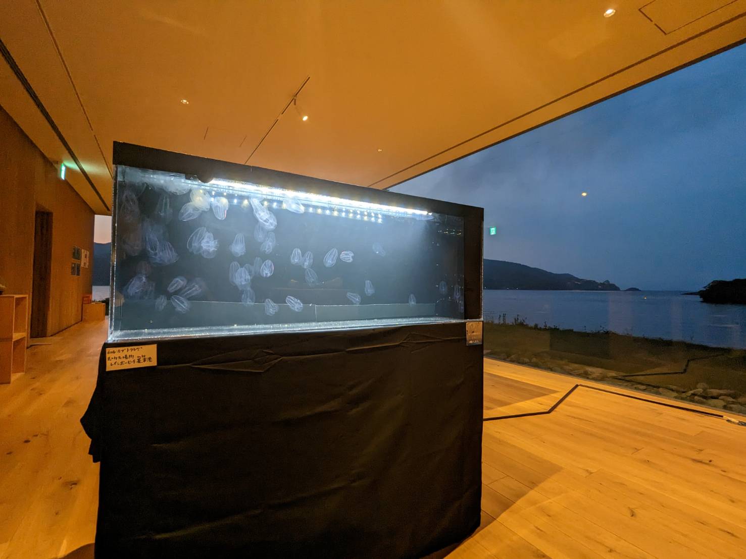 A Travelling Aquarium for People to Learn More about the Sea Around the ...